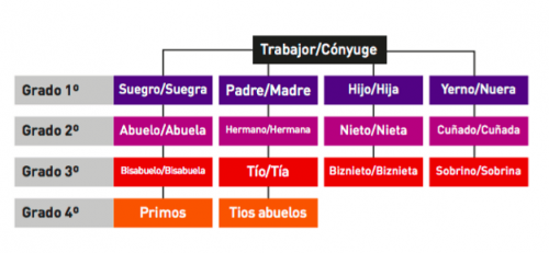 Grados de parentesco: consanguinidad y afinidad | Tabla 2025